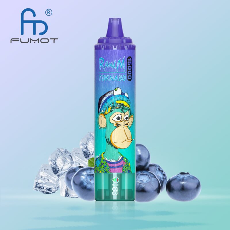 RandM Tornado 15000 Puffs Disposable Vape-blueberry on ice